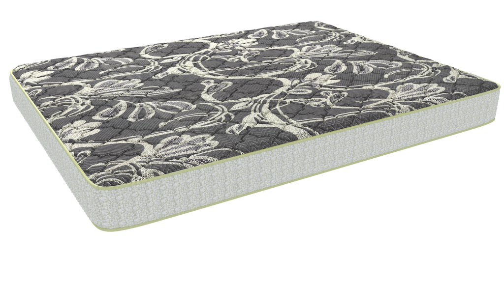 Best Health Plus Mattress for Back Pain and Optimal Back Support - Coirfi