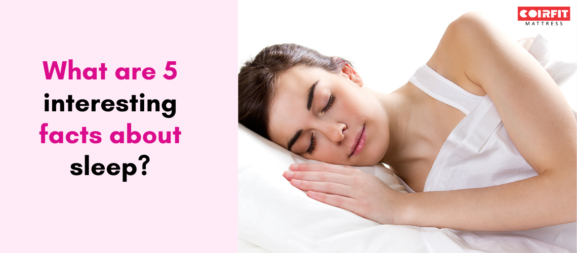 What are 5 interesting facts about sleep? - Coirfit Mattress